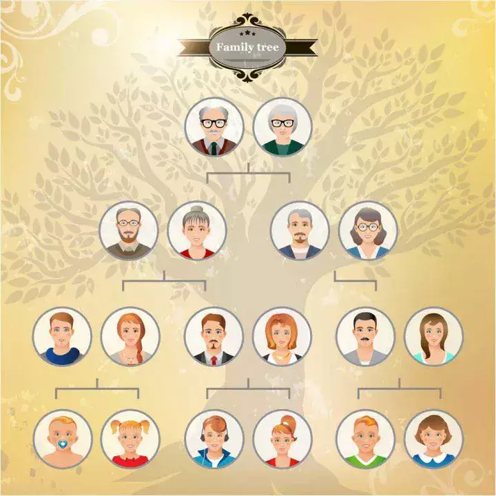 Albero Genealogico In Progetto Spagnolo Spagnolo Albero Genealogico
